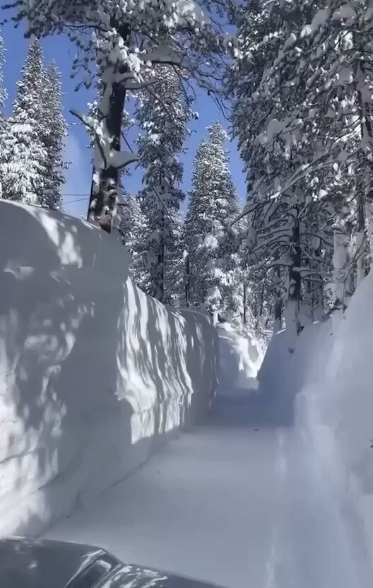 The Corolla Virus™ on GETTR : Lake Tahoe, NV CorollaVirus™LivesMatter