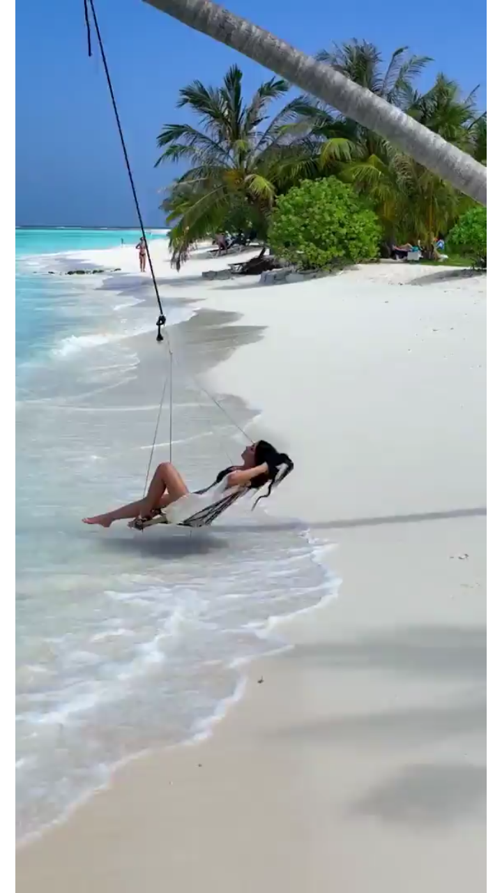 Alejandro A. Balmelli🍀 on GETTR