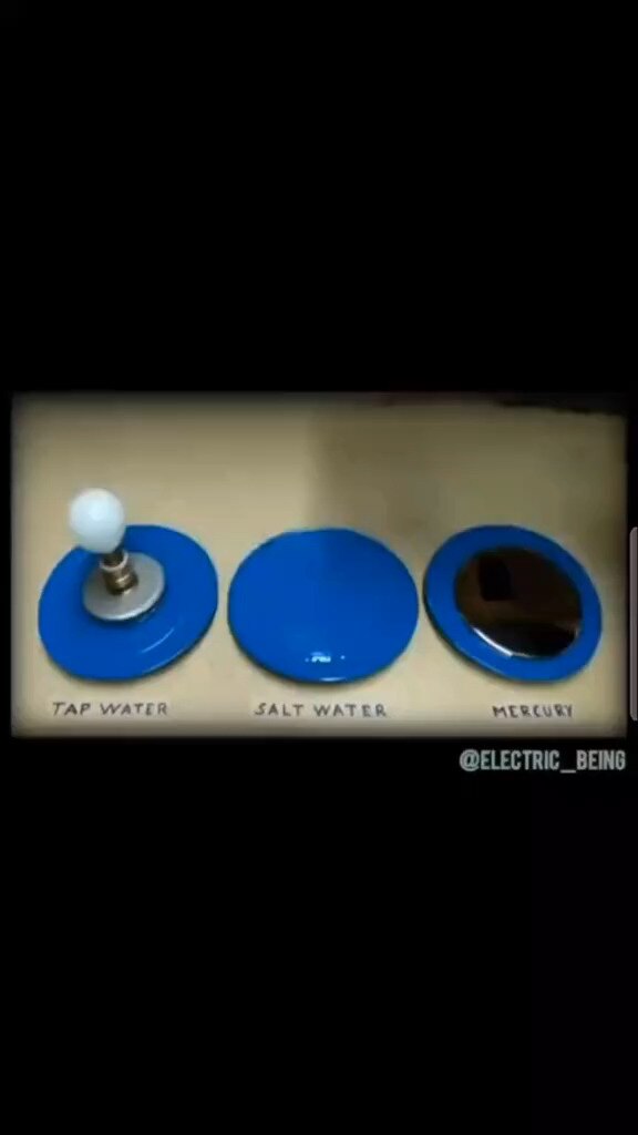 The Corolla Virus™ on GETTR : Saturday Science CorollaVirus™LivesMatter