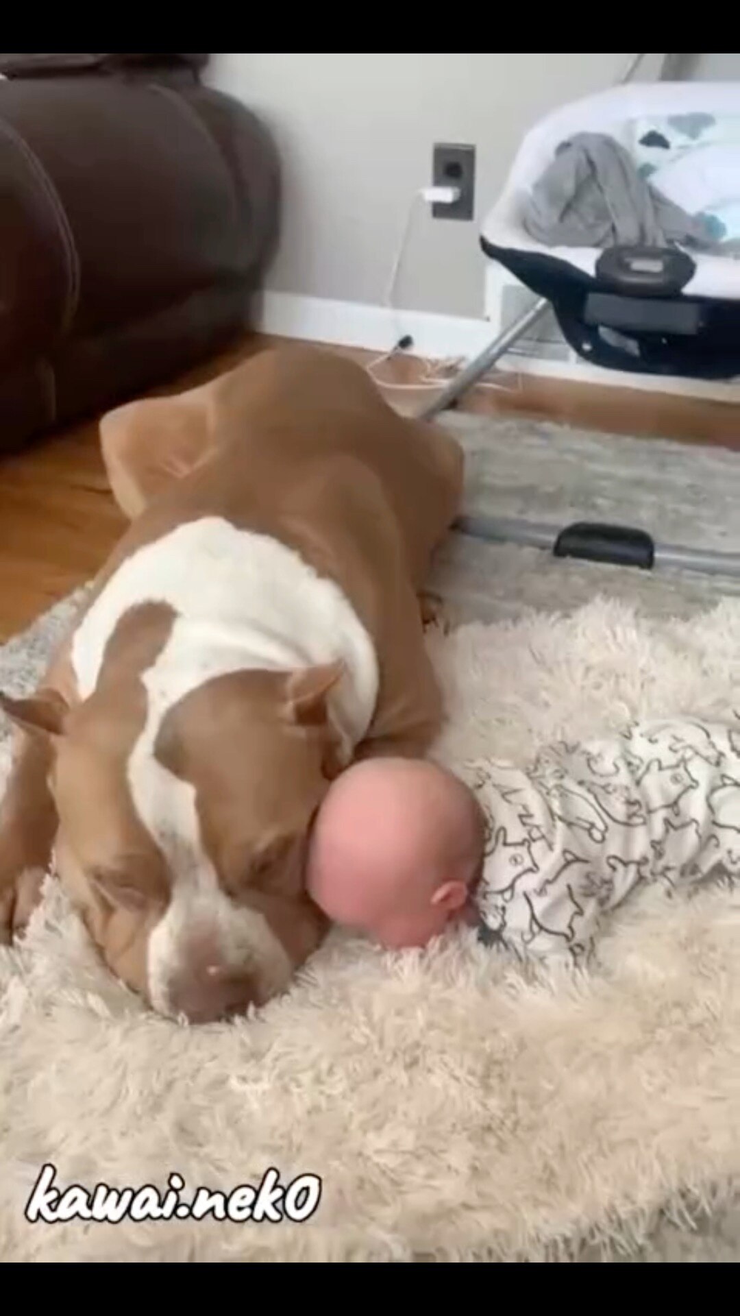 Binbin9937 on GETTR : Frens For Life! ️ @Binbin9937 @JuXuan_Yun