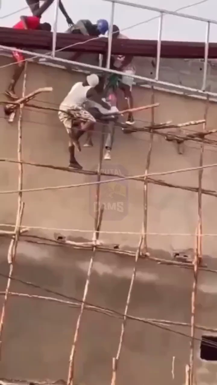 The Corolla Virus™ on GETTR : Green New Deal CorollaVirus™LivesMatter