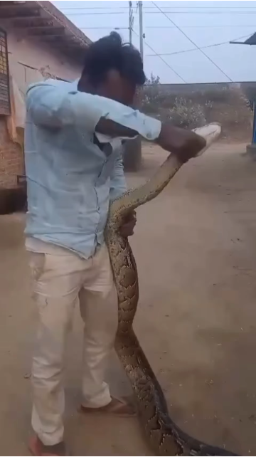 HunterMAGA on GETTR : Some people, you know they're a dumbass soon as ...