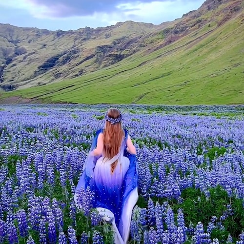 Lily’s Time 🌻🌻🌻🍀🍀🍀 on GETTR