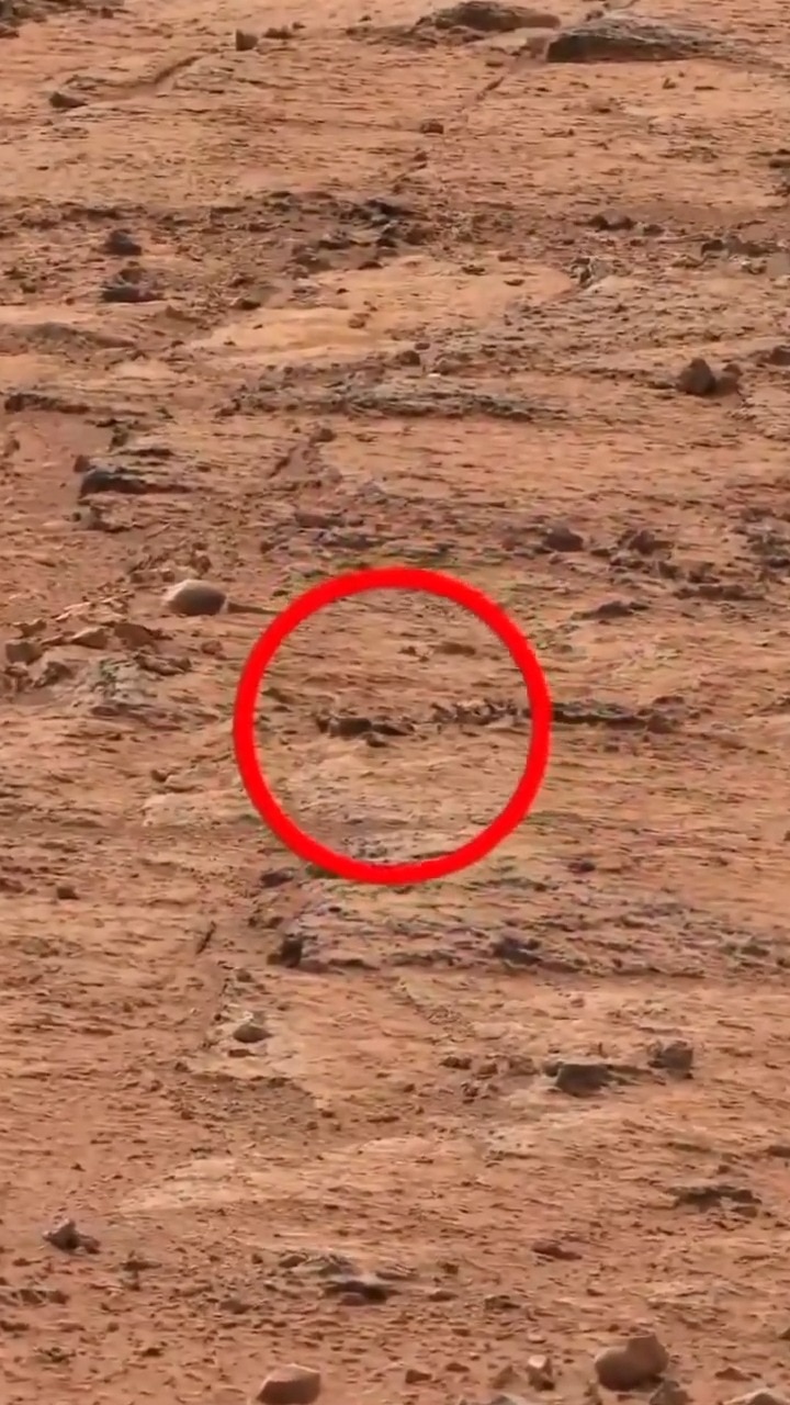 UFO on GETTR: An UNIDENTIFIED OBJECT spotted on the images send ...