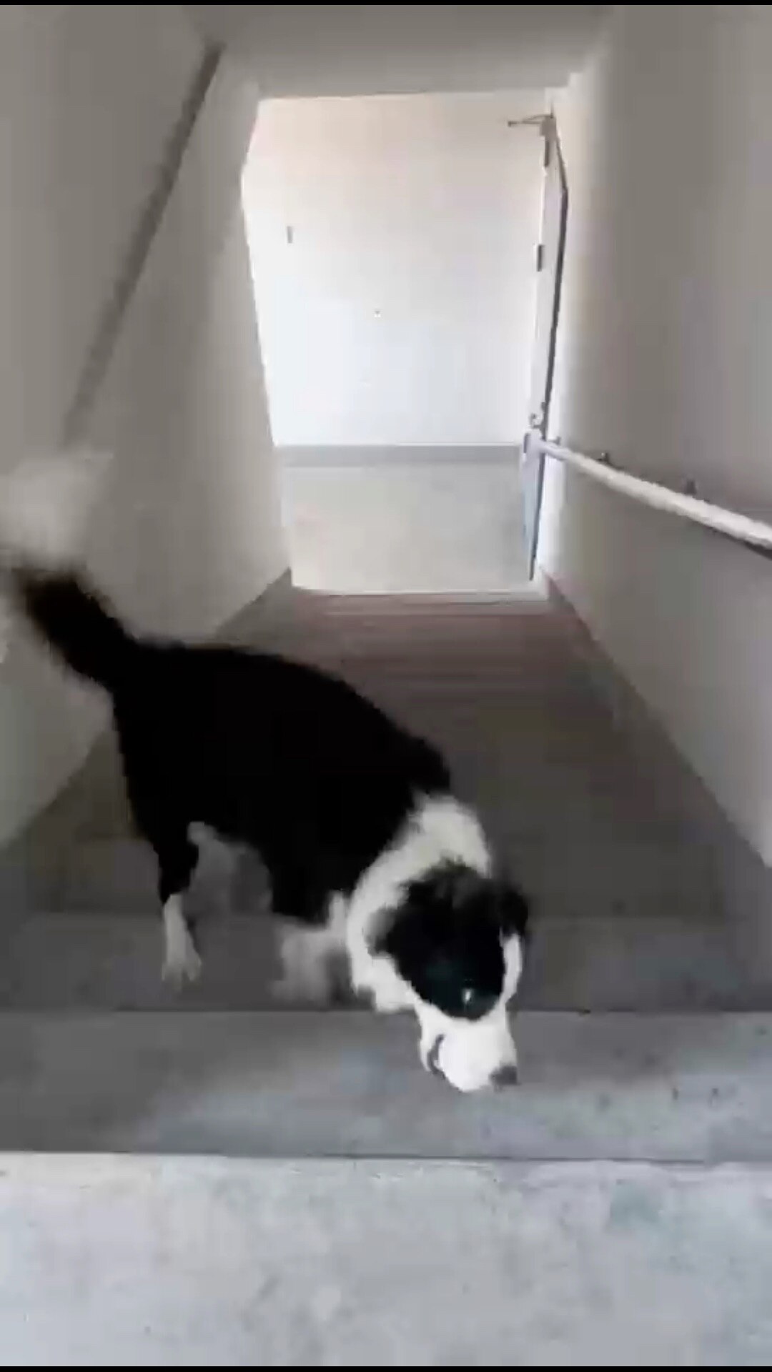 云知道 on GETTR : amuse oneself