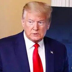 TRUMP SUPPORTERS on GETTR