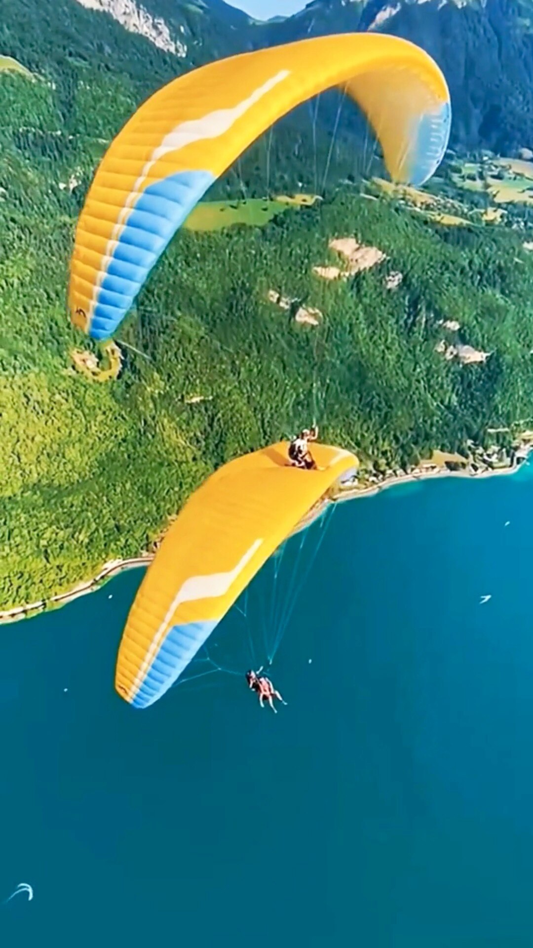 Nefertari on GETTR : fly G