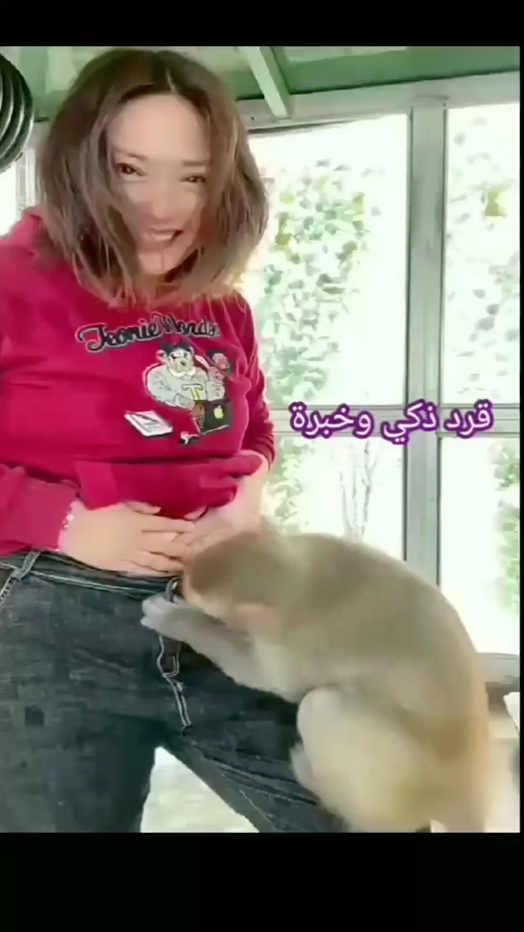 喜花园777 GETTR पर