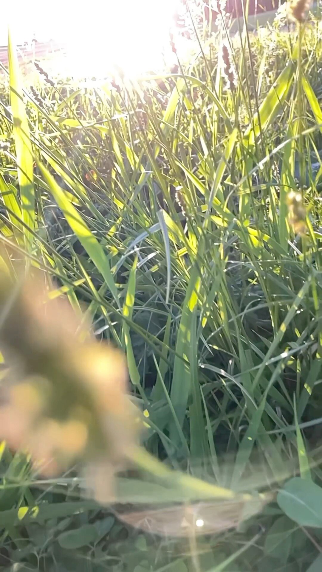 Gianni POV on GETTR: Now I AM THE VOICE! Link in bio 👀 https://rinald...