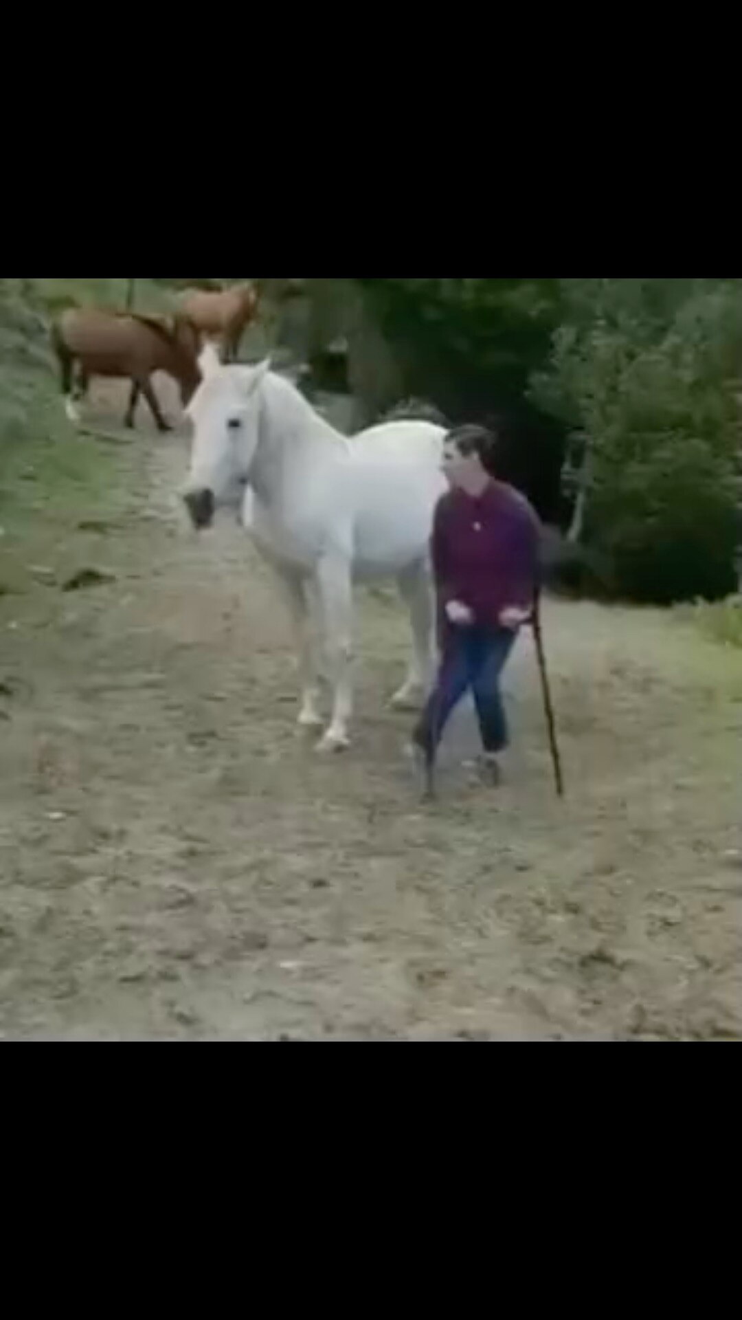 Binbin9937 on GETTR : Life is made from love to give love. ️ @Binbin9937 @JuXuan_Yun