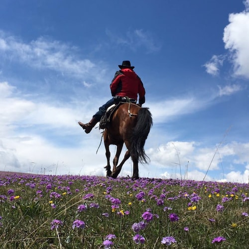 倒计时 on GETTR - Profile and Posts on GETTR