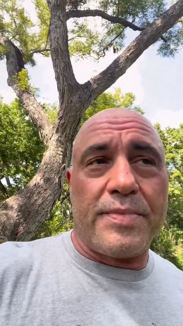 Vaccine Disaster on GETTR : Joe Rogan shared his experience of taking ...