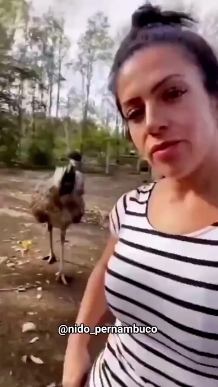 Alejandro A. Balmelli🍀 on GETTR : 😂😂😂