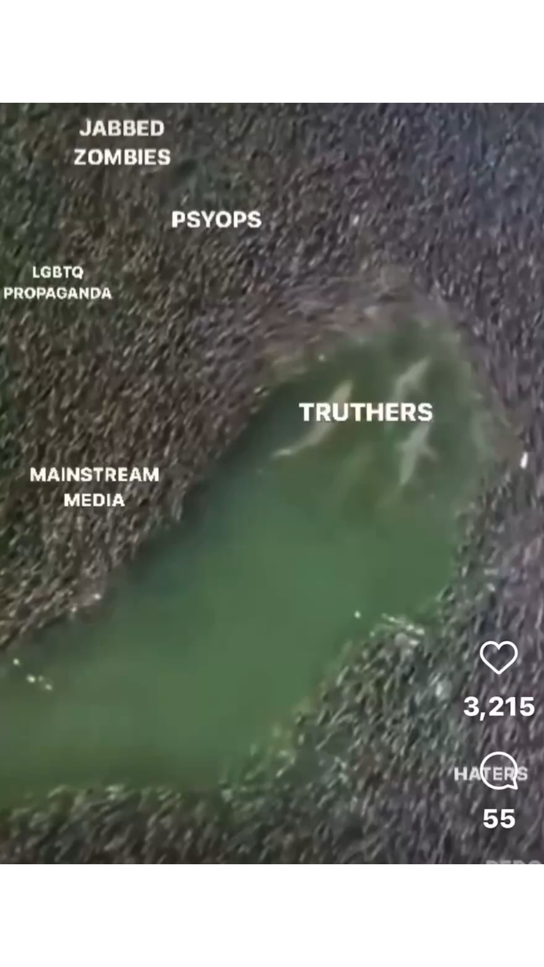 GETTR - The Marketplace of Ideas