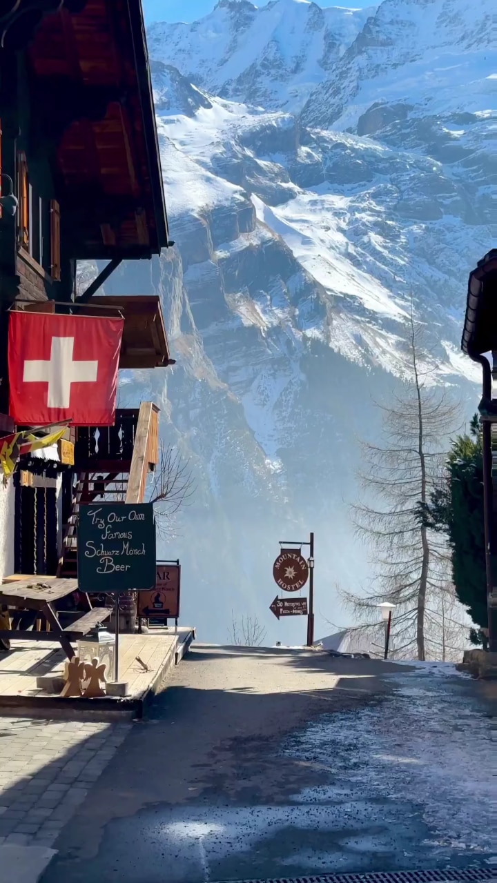 Alejandro A. Balmelli🍀 on GETTR