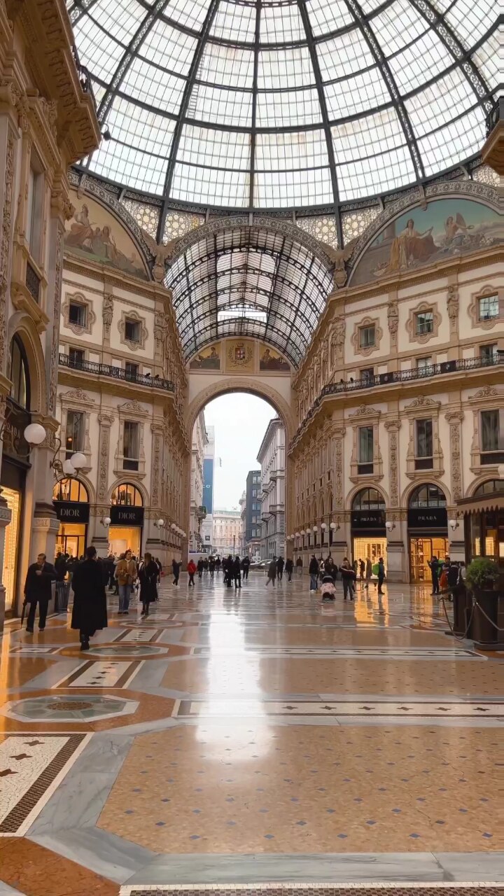 Alejandro A. Balmelli🍀 on GETTR