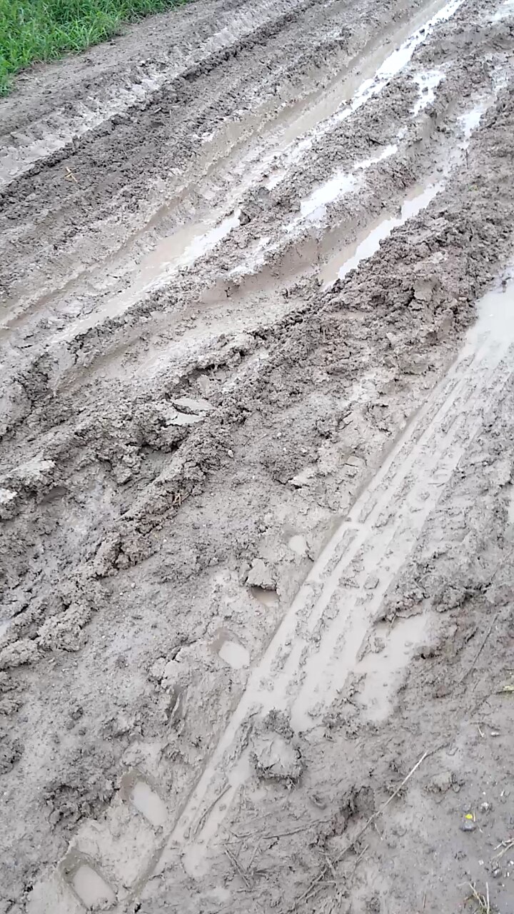 The Corolla Virus™ on GETTR : South Texas and Rio Grande River farmland ...