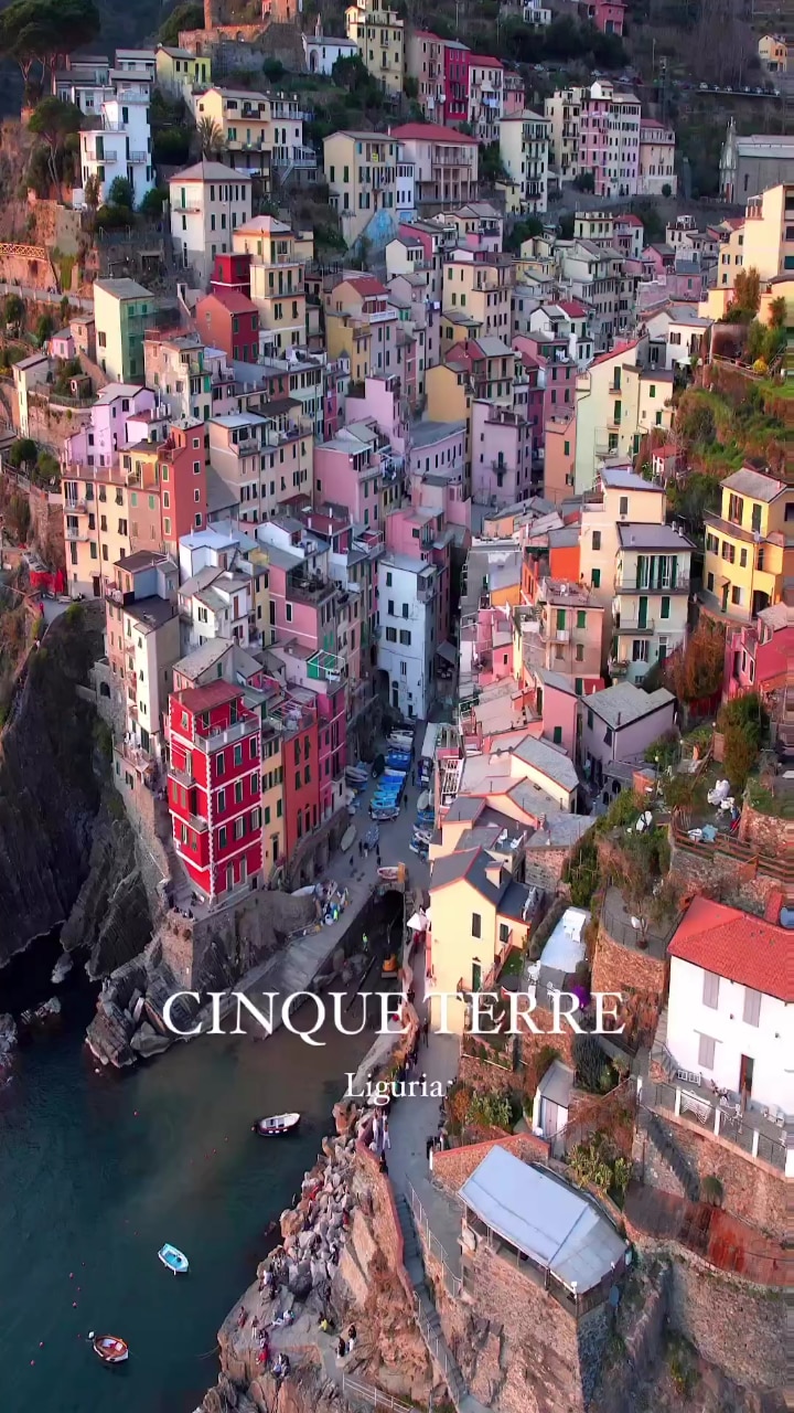 Alejandro A. Balmelli🍀 on GETTR