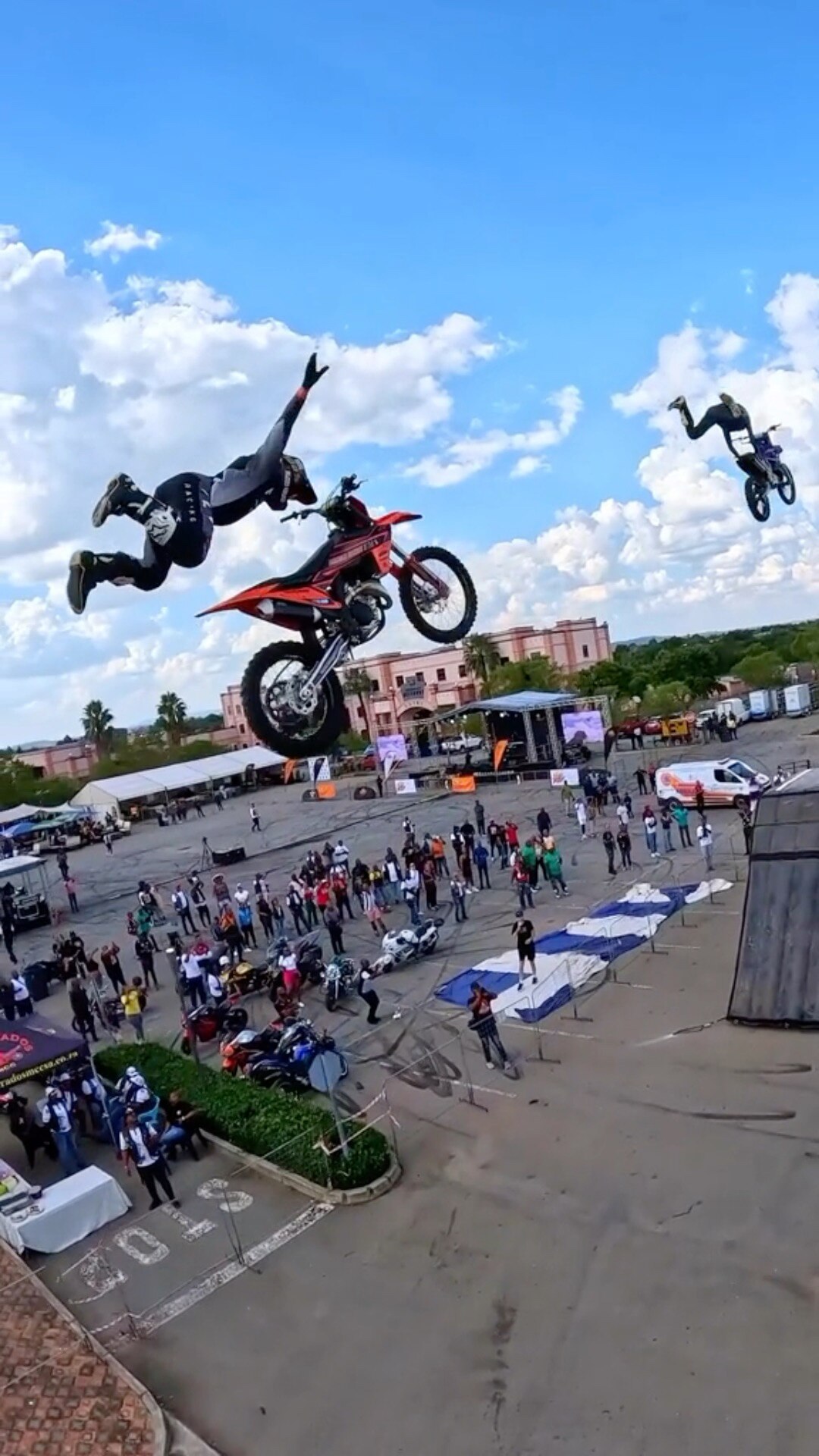 Nefertari on GETTR : fly N