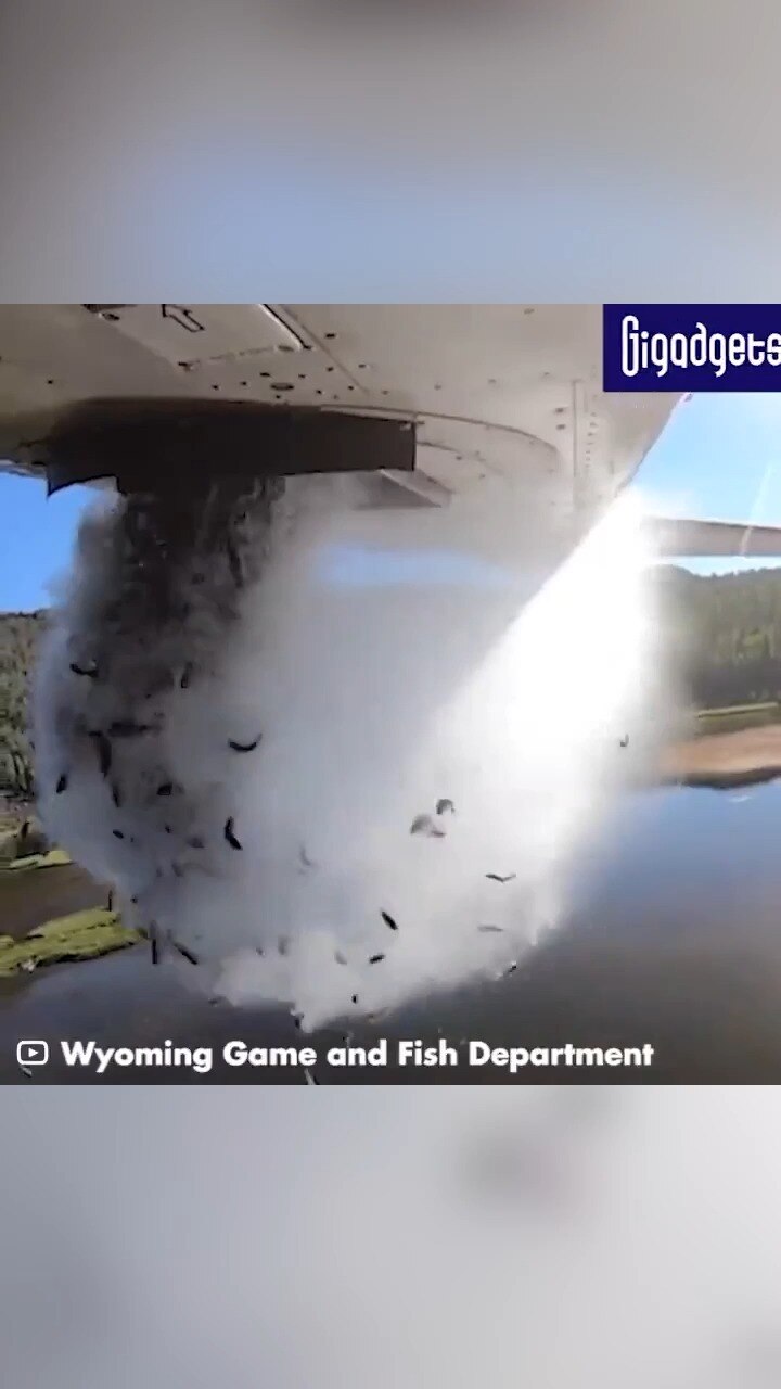 TechView on GETTR: Fish stocking by airplane.🐟 Utah Division of Wild...