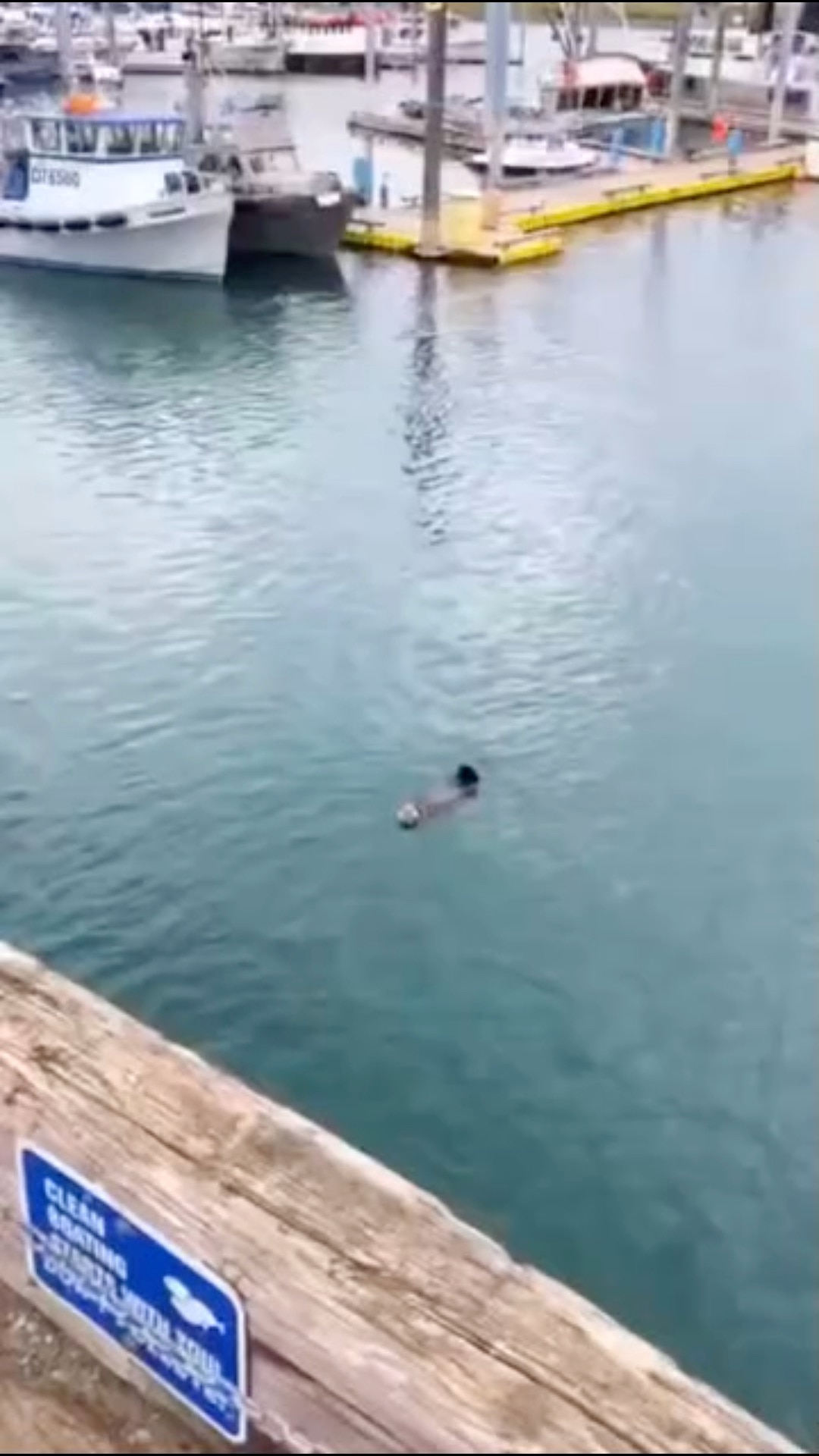 JuXuan_Yun on GETTR : Pick each other up and hold each other tight! ️ WWG1WGA @Binbin9937 ...