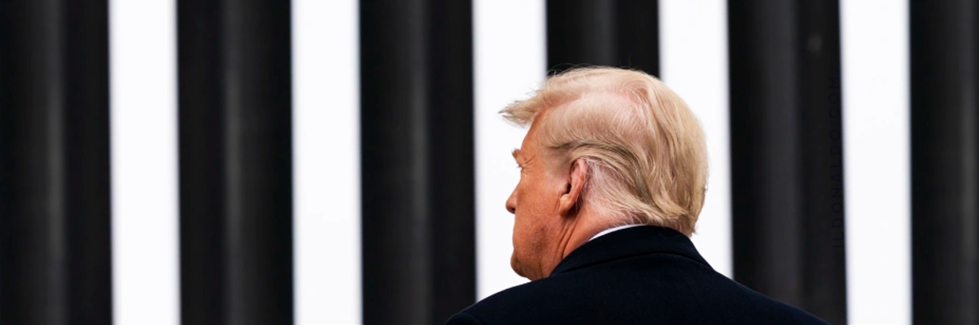 il Donaldo Trumpo on GETTR