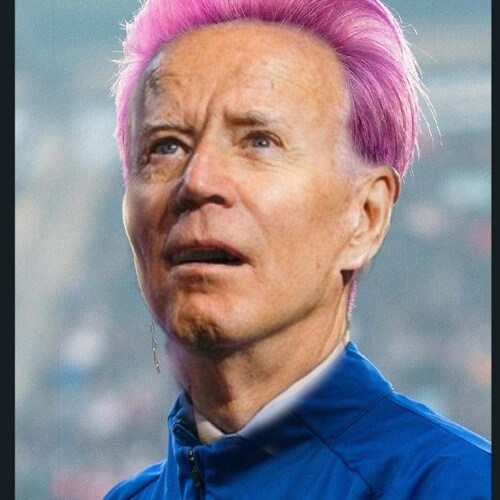 Shinesman🍊 on GETTR