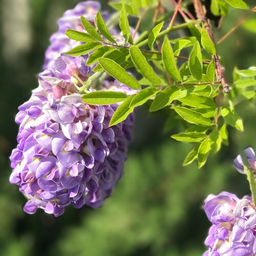 Aoyang On Gettr Profile And Posts On Gettr