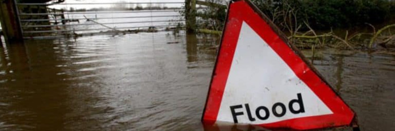 Brian Flood on GETTR