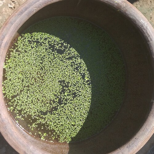 cabbage22【粉必回】 on GETTR - Profile and Posts on GETTR