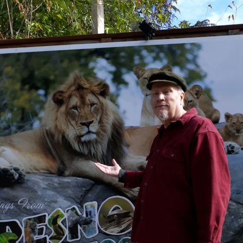 👍👍Timothy D Lynch👍👍 on GETTR - Profile and Posts on GETTR