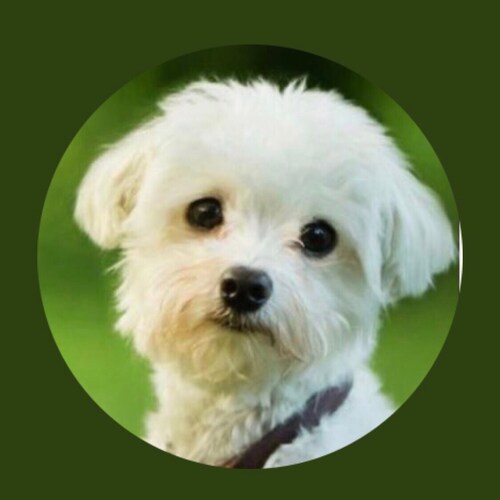 luitzr on GETTR - Profile and Posts on GETTR