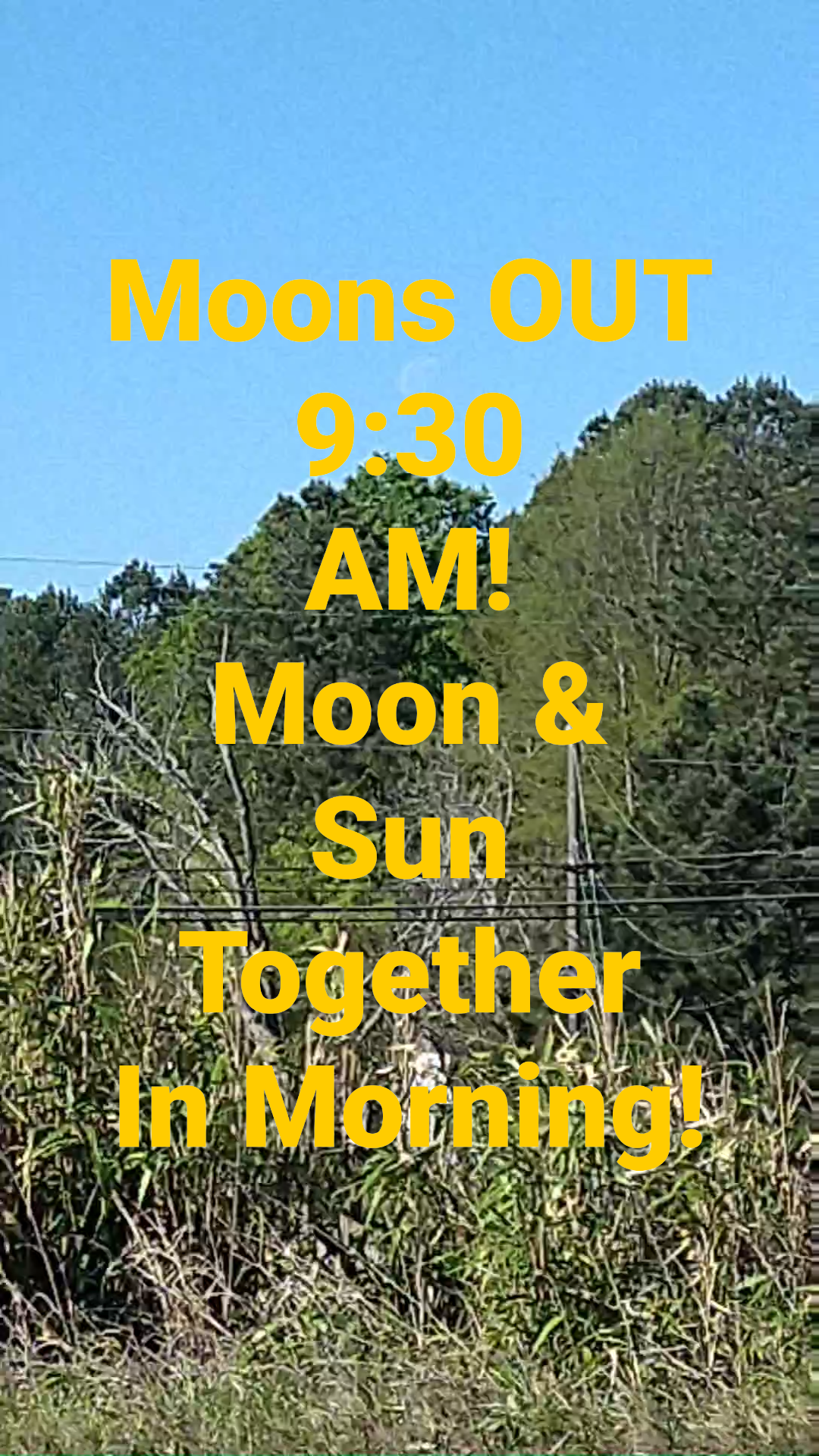 Poohzlecom on GETTR : Moon is OUT EARLY TODAY!