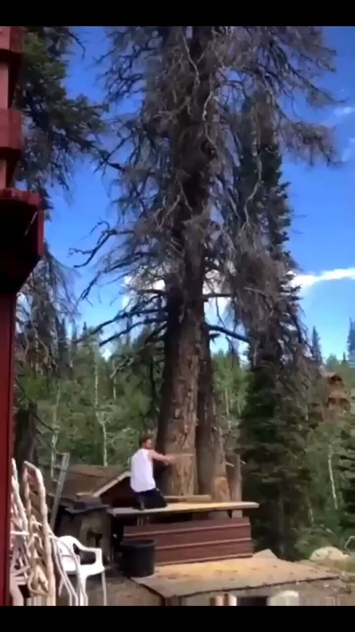 anamaria_7917 on GETTR : pazea ca vine https://www.temeprofit.com/this ...