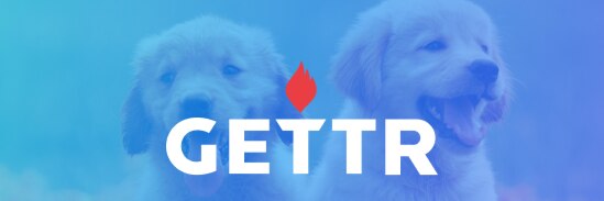 GETTR Chill Mode ️🧊 on GETTR - Profile and Posts on GETTR