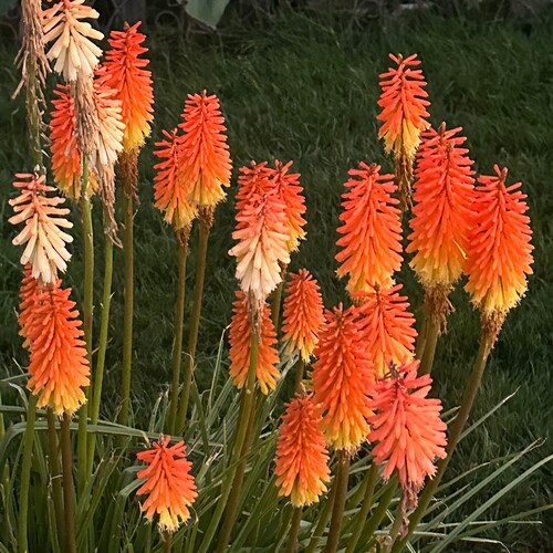 David truth teller 1414 on GETTR - Profile and Posts on GETTR