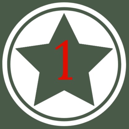 Ragged Old First: Armed Militia on GETTR
