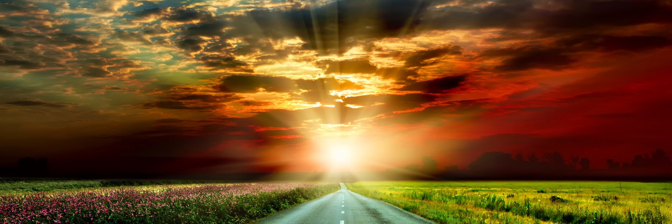 Hawk 3%er on GETTR - Profile and Posts on GETTR