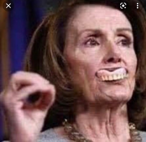 Pelosi’s Twat Still Stinks on GETTR