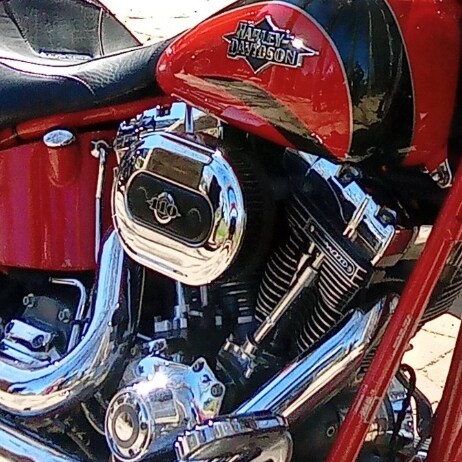 David Ballard on GETTR - Profile and Posts on GETTR