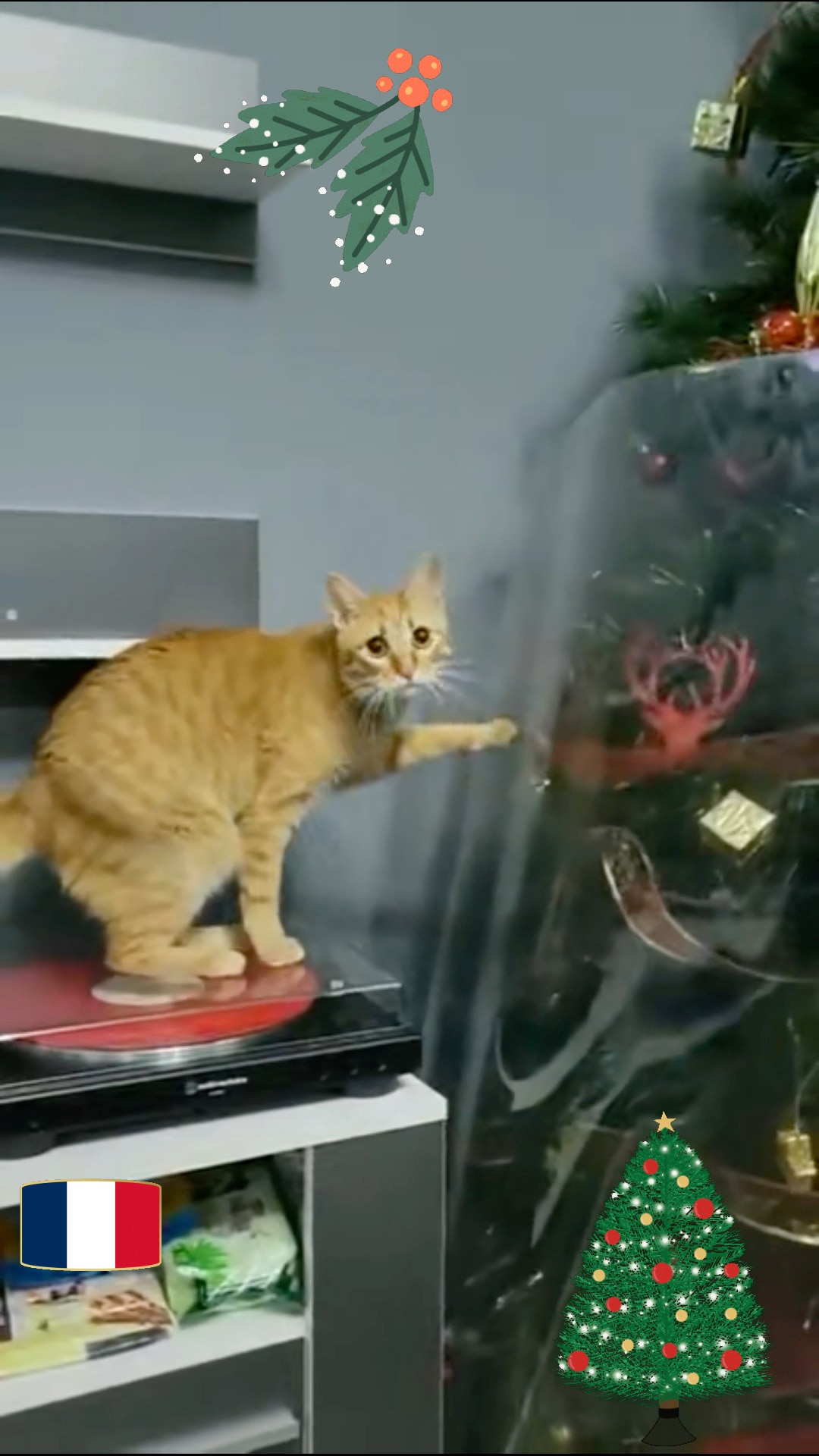 GETTR France 🇨🇵 on GETTR : ️🎄🎅#Noël #Noel #Christmas #France #GETTR