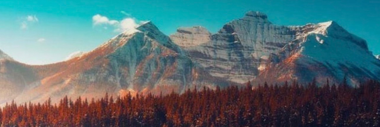 :Crystal :Hess-Binnebose,TTEE. on GETTR