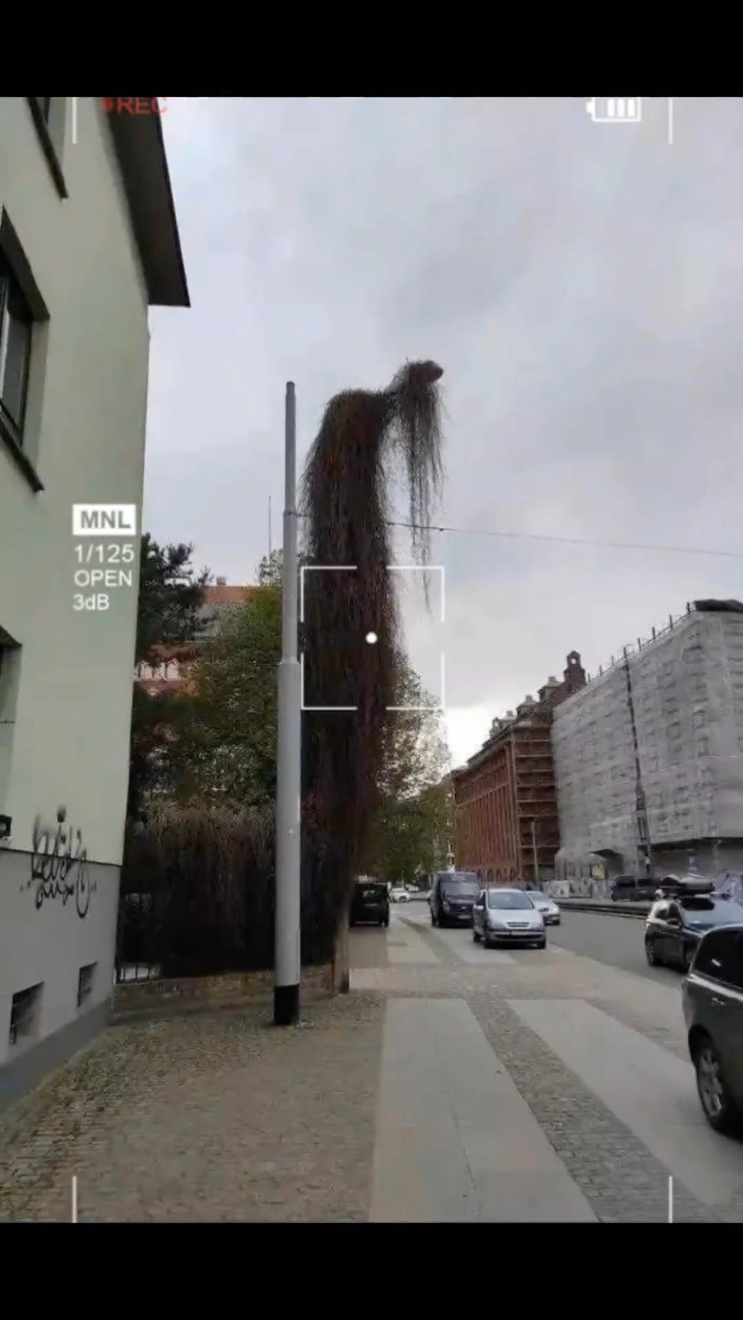 Amelia on GETTR: scary street lights