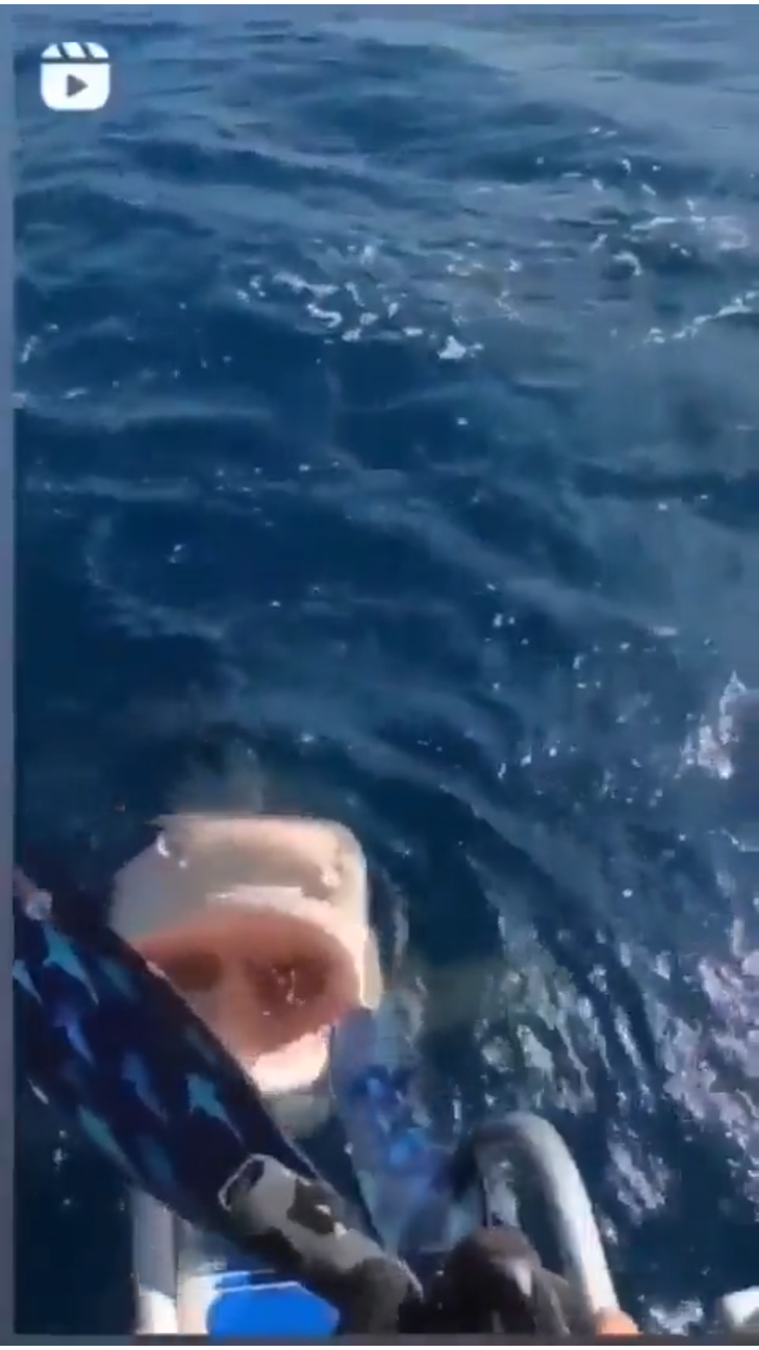 原野【台灣寶島農場】 on GETTR: “Time spent in reconnaissance is rarely wasted”