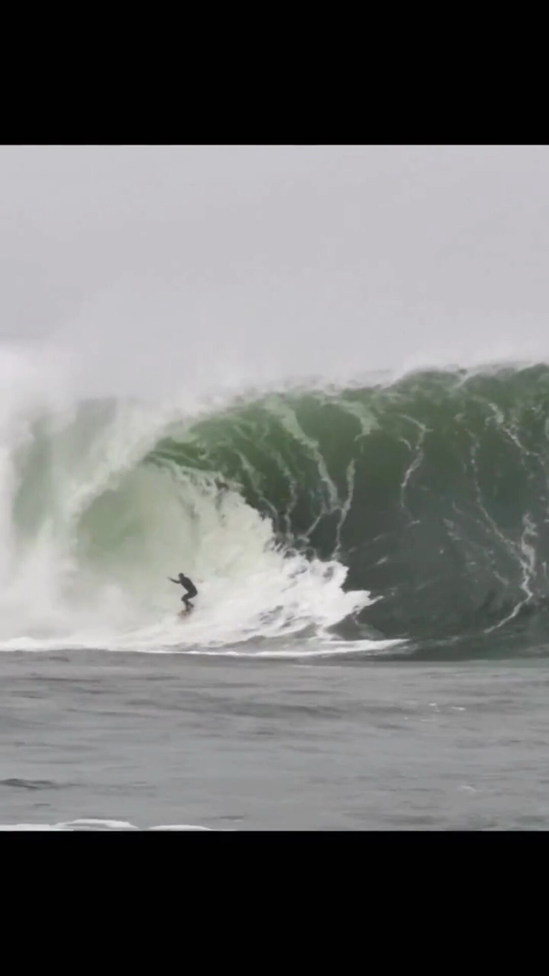 Nefertari on GETTR : serfing W