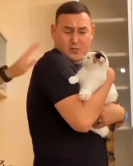 ☦️🦁⚔ 🆃🆁🅴🅱 ⚔🩸 on GETTR : Guard Cat 😳