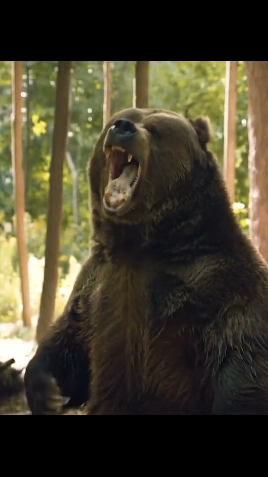 Jenna🇺🇸 on GETTR: Scary if not work that way #baby #mom #bear