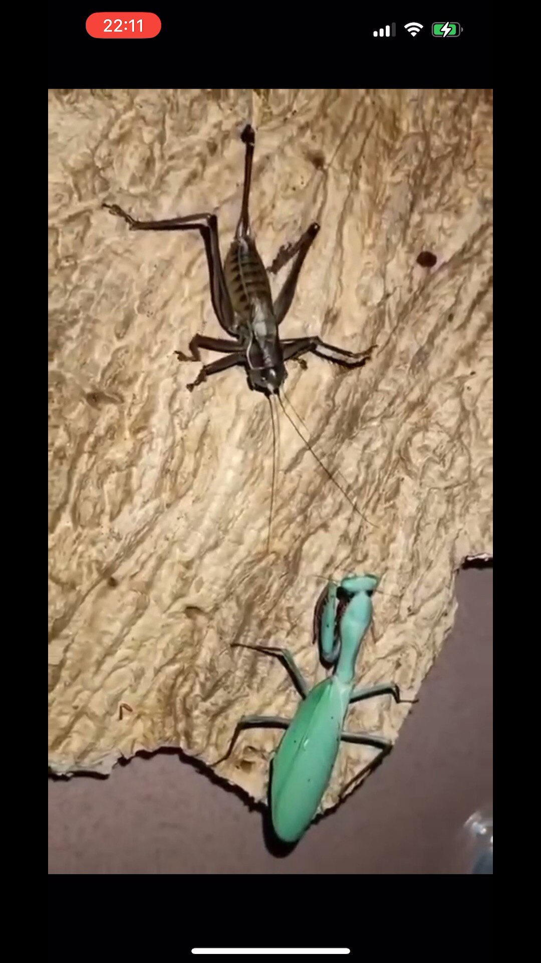 云知道 on GETTR : Fighting