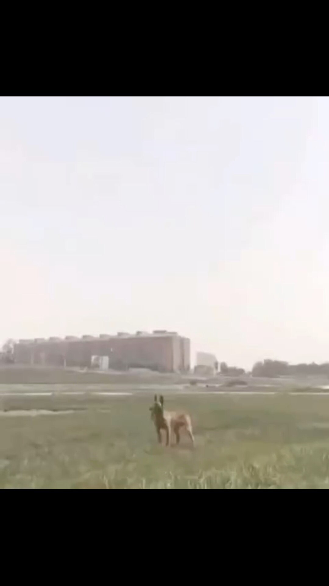 Binbin9937 on GETTR: Up Up and Away! 🕊 @Binbin9937 @JuXuan_Yun