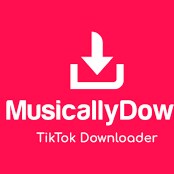 musicallydownloader on GETTR